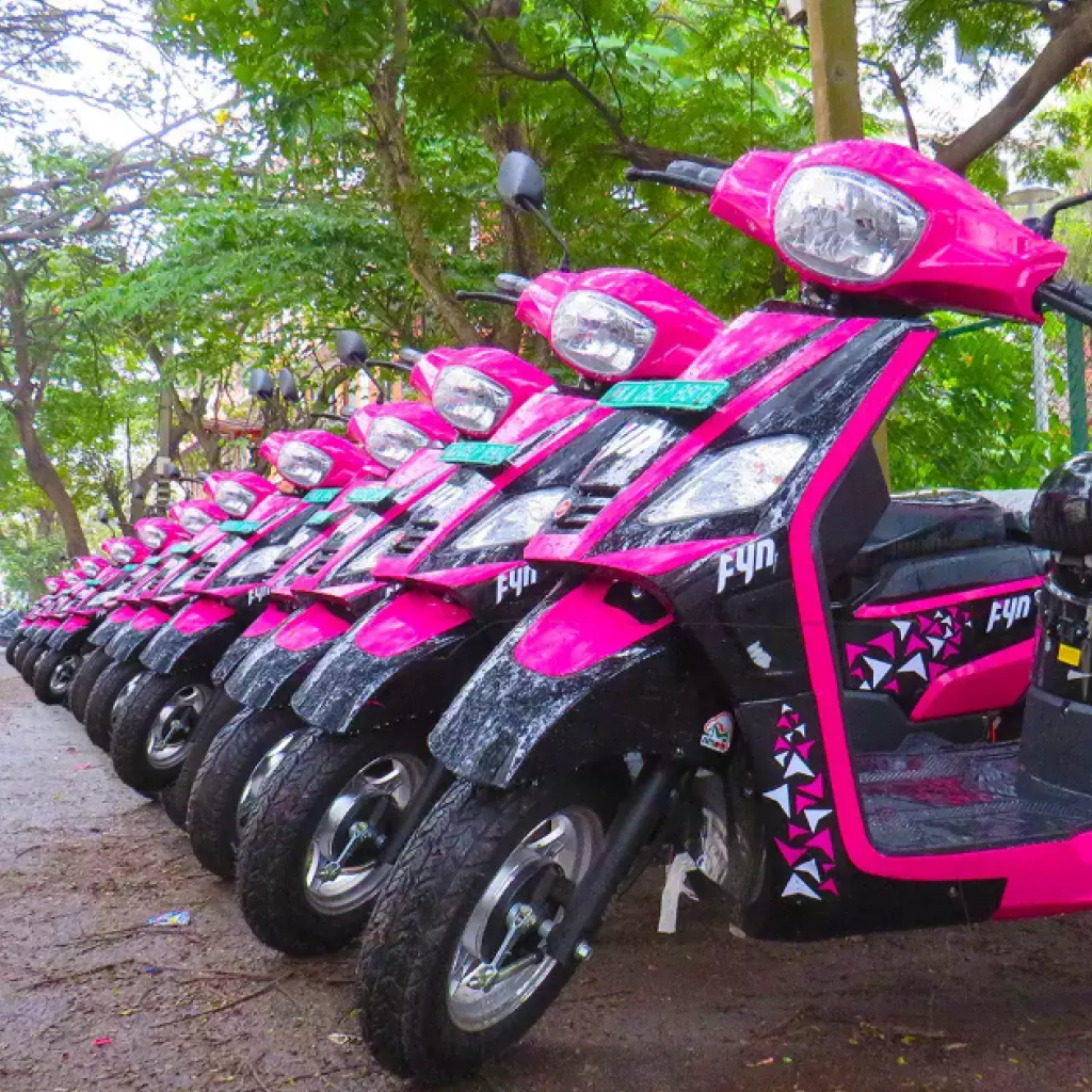 Last Mile Logistics with Smart EV Fleet